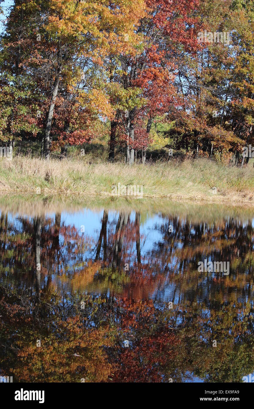 Beautiful reflection fall colors hi-res stock photography and images ...