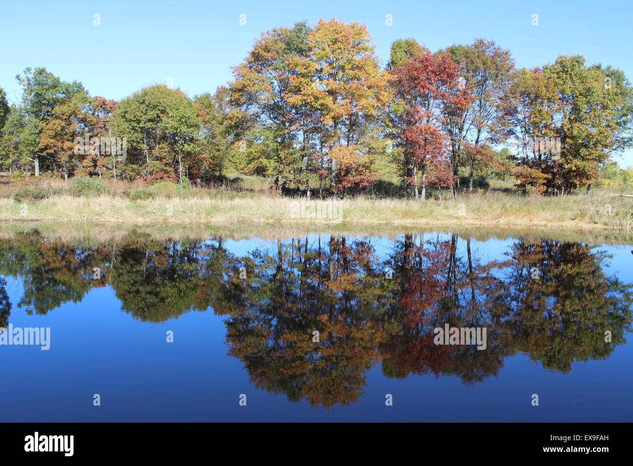 Fall reflection hi-res stock photography and images - Alamy