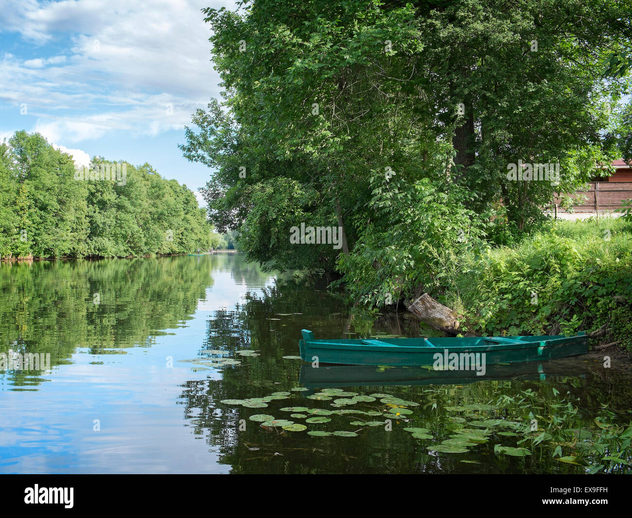 Tree with wooden dock hi-res stock photography and images - Alamy