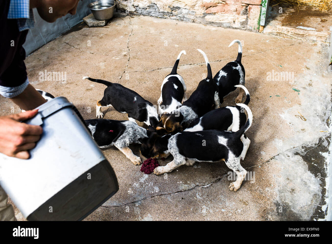 Johnny Hunt High Resolution Stock Photography and Images - Alamy