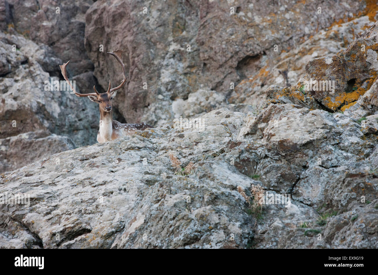 Common types of rocks hi-res stock photography and images - Alamy