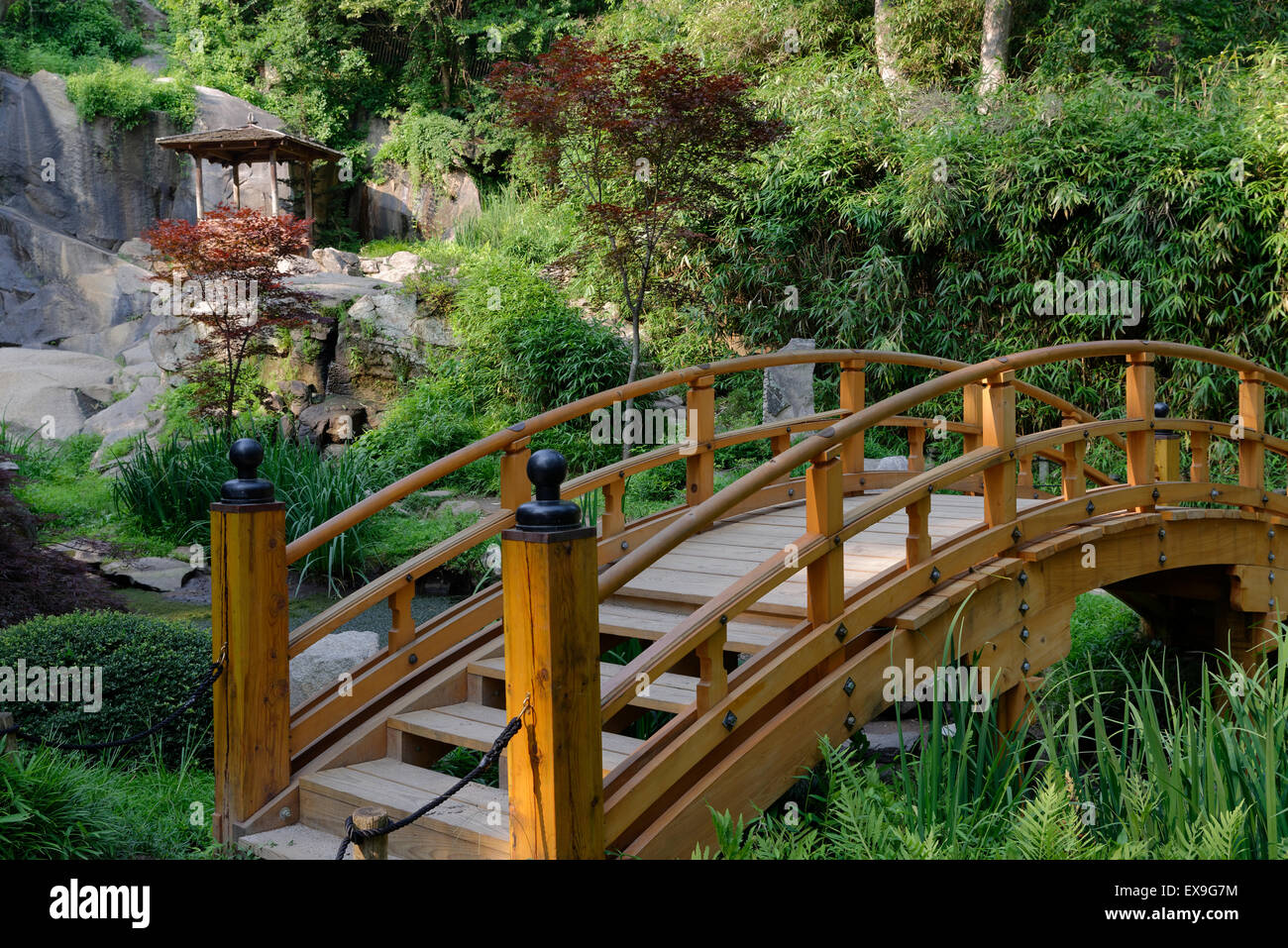 Moon Bridge located in the Japanese Garden of Maymont Park, located in ...