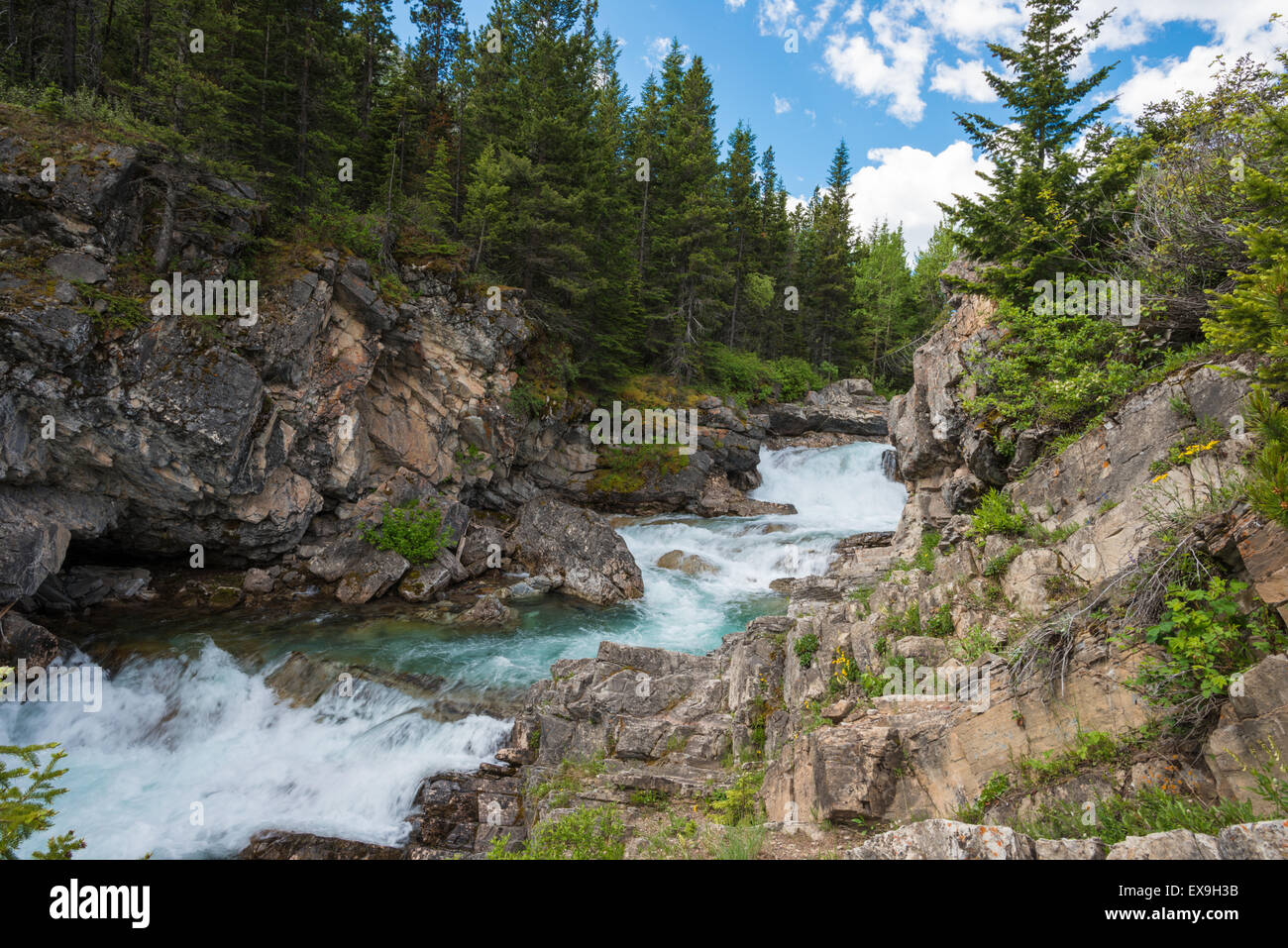 Cameron Creek cascading through Waterton Lakes National Park, Alberta ...