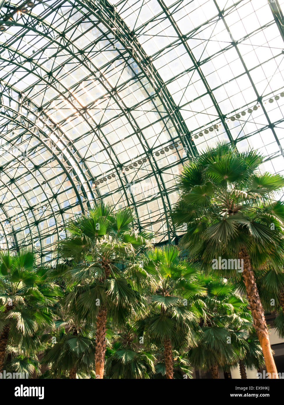 The Winter Garden Atrium, Brookfield Place in Battery Park City, NYC ...