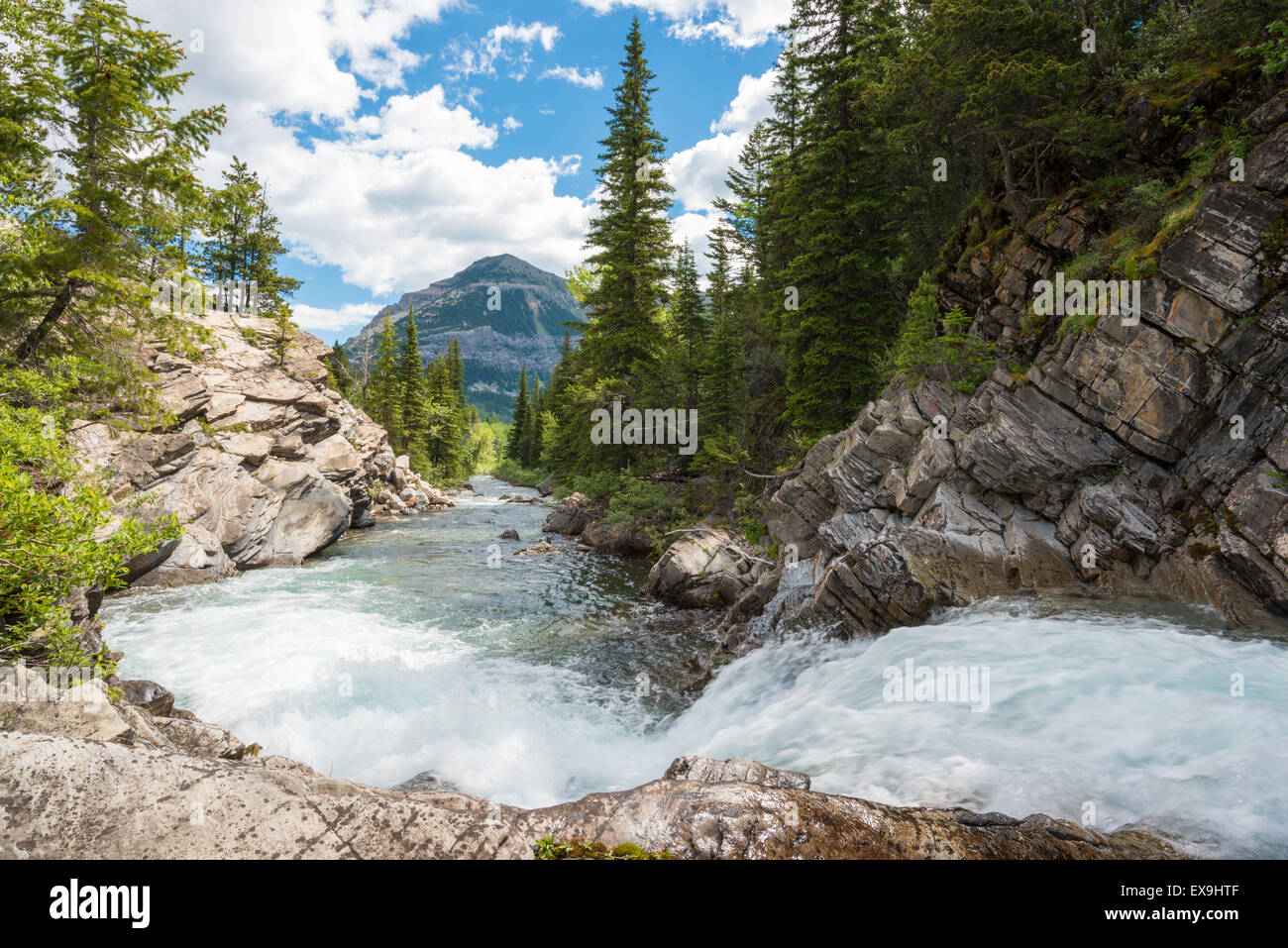 Cameron Creek cascading through Waterton Lakes National Park, Alberta ...