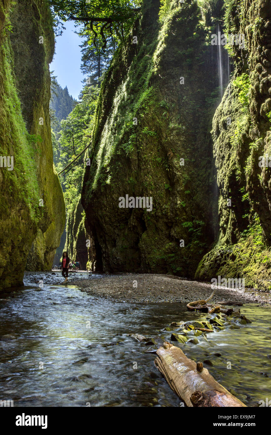 Oneonta Gorge, Oregon Stock Photo - Alamy