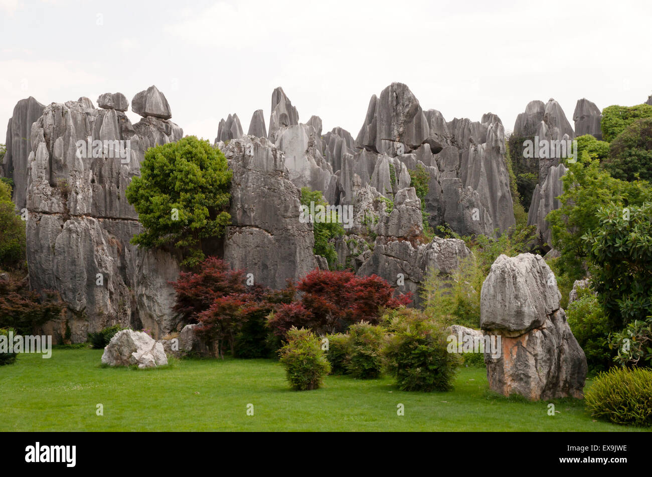 Shilin Stone Forest - Kunming - China Stock Photo - Alamy