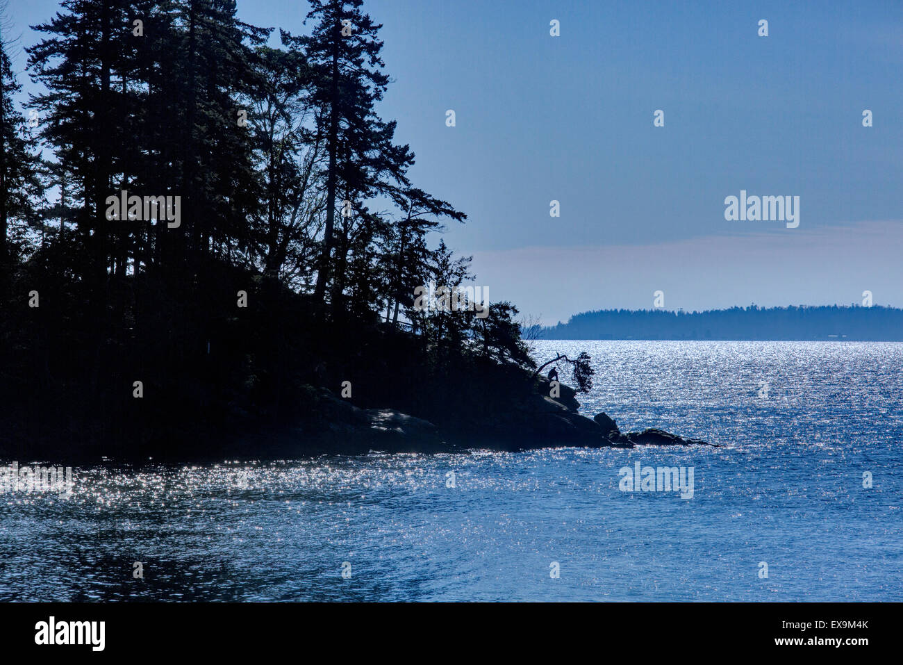 Wildcat Cove, Larrabee State Park Stock Photo - Alamy