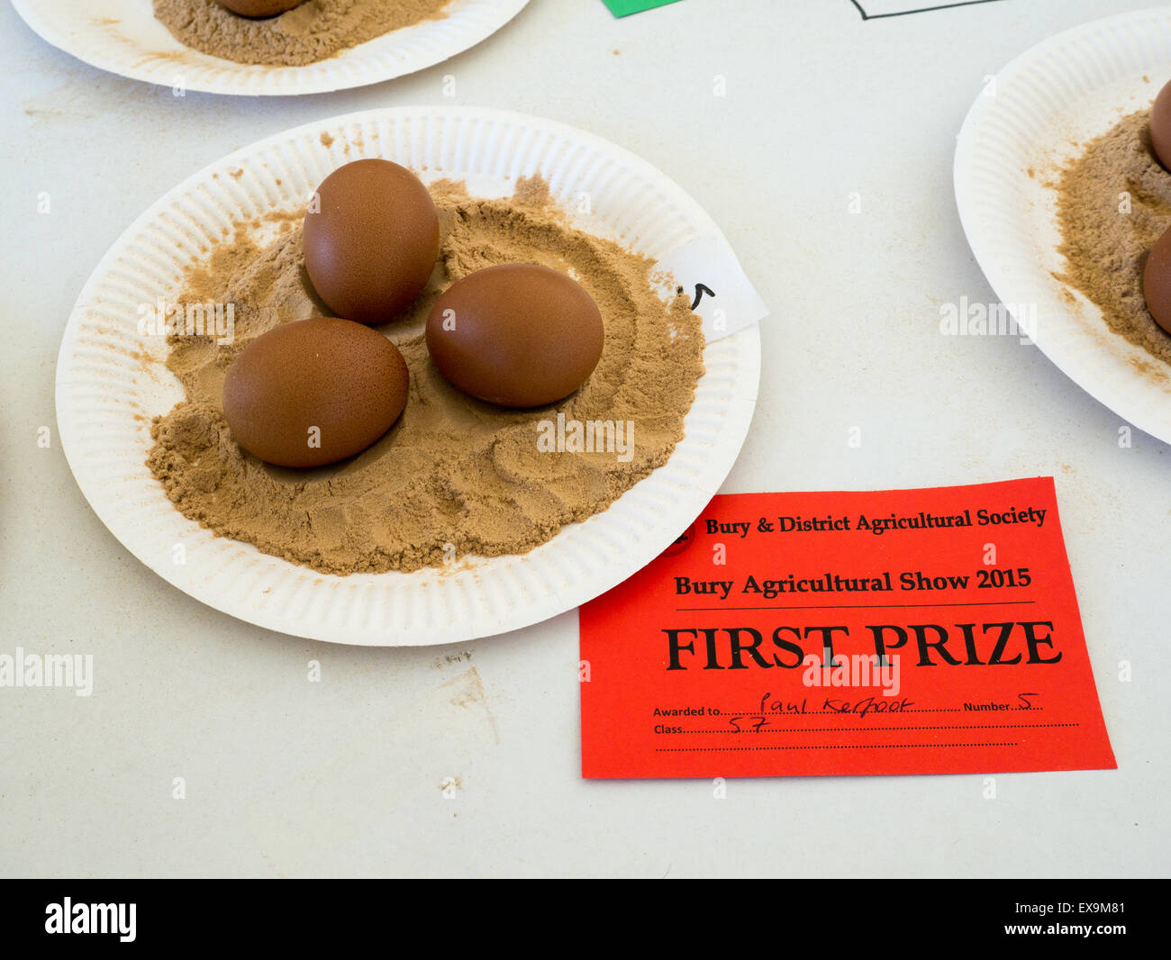 Competition eggs hi-res stock photography and images - Alamy