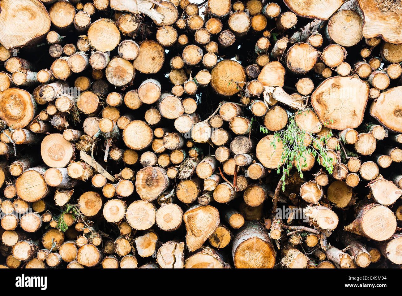 A pile of lumber Stock Photo - Alamy