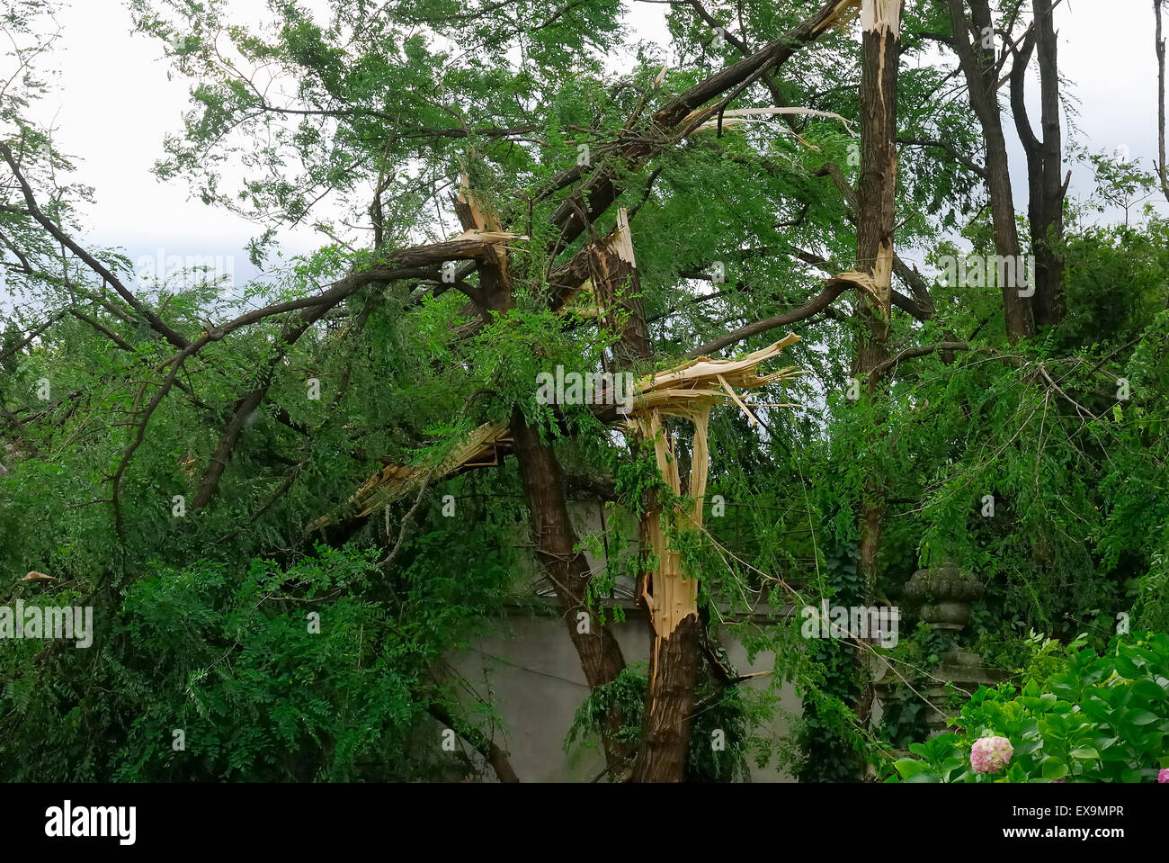 Venice, Italy. 9th July, 2015. Violent tornado knocks down some ...