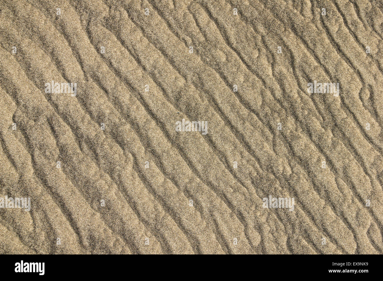 sand ripples with light and dark grains background texture Stock Photo ...