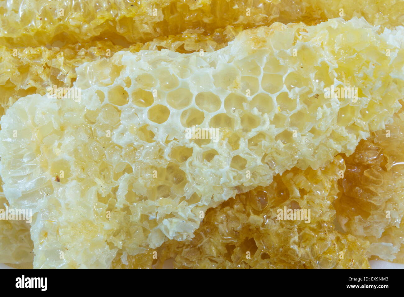 Natural beehive hi-res stock photography and images - Alamy