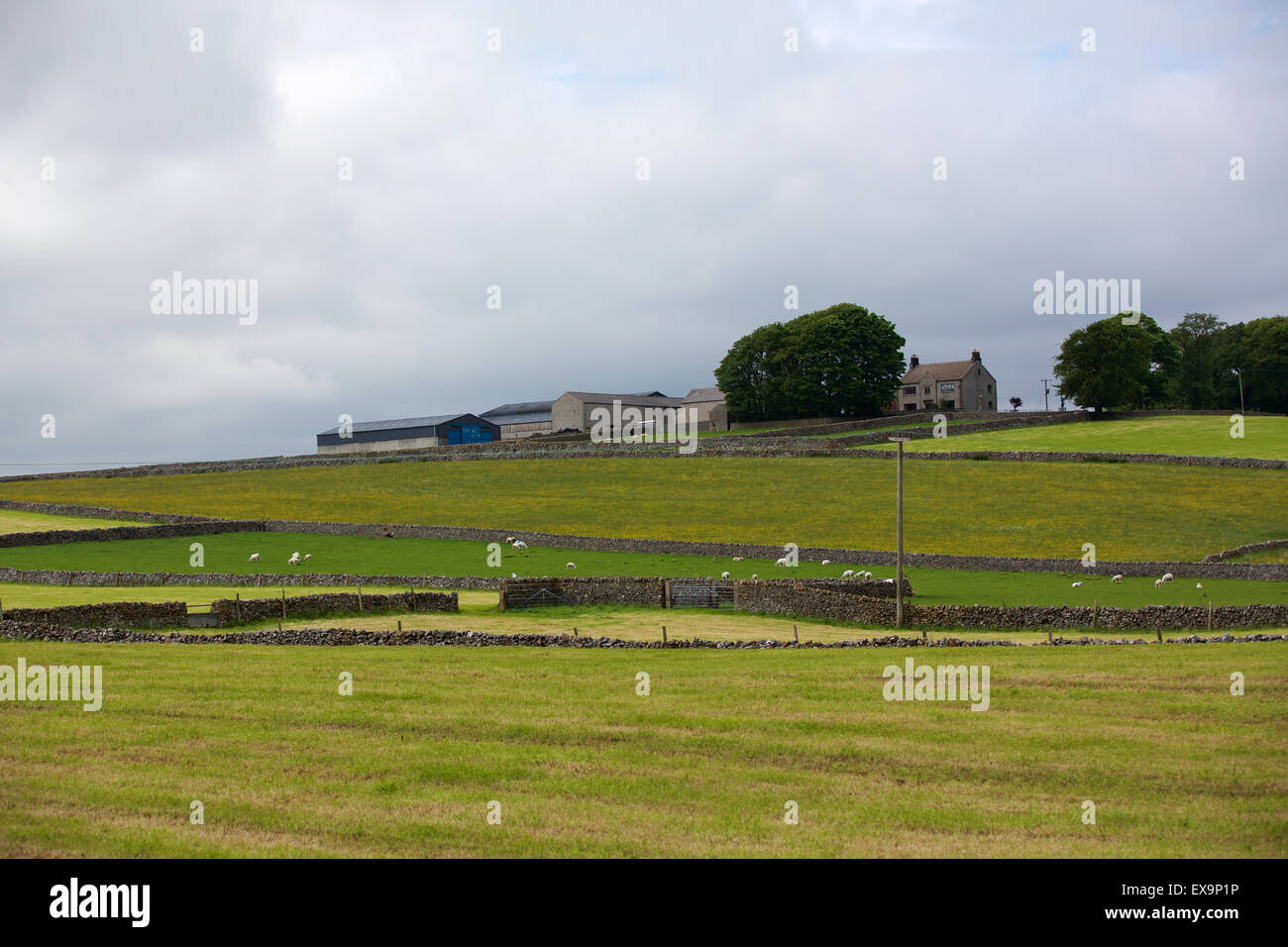 Sheep farm in the heart of the Peak District National Park Stock Photo ...