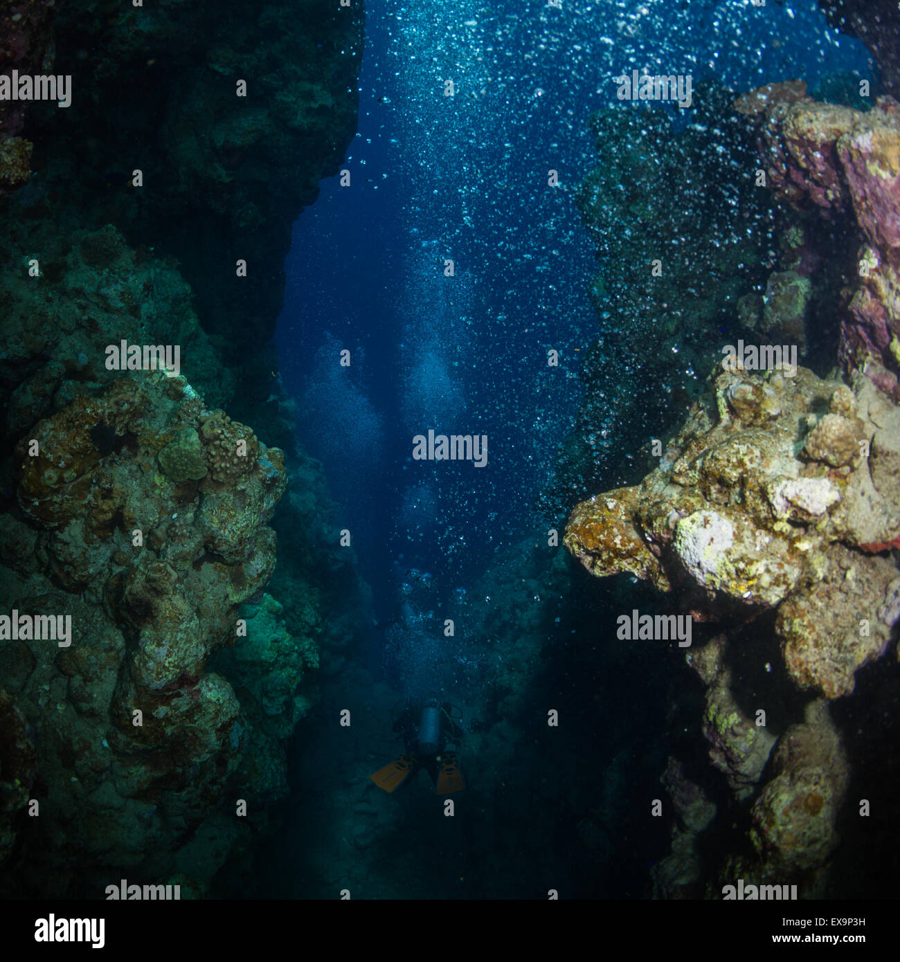 Reaf view hi-res stock photography and images - Alamy