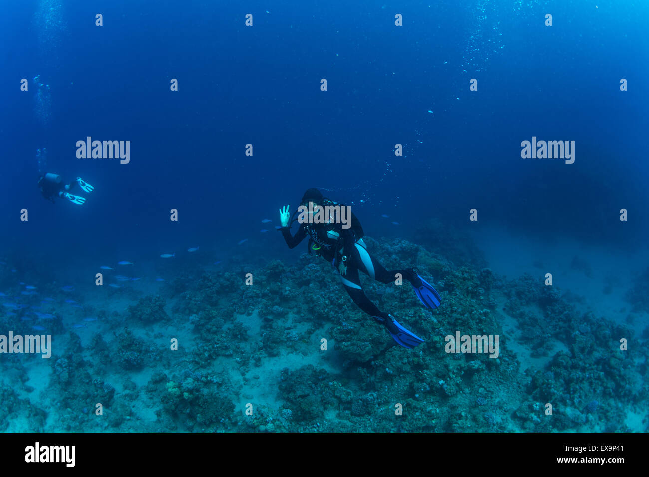 Reaf view hi-res stock photography and images - Alamy