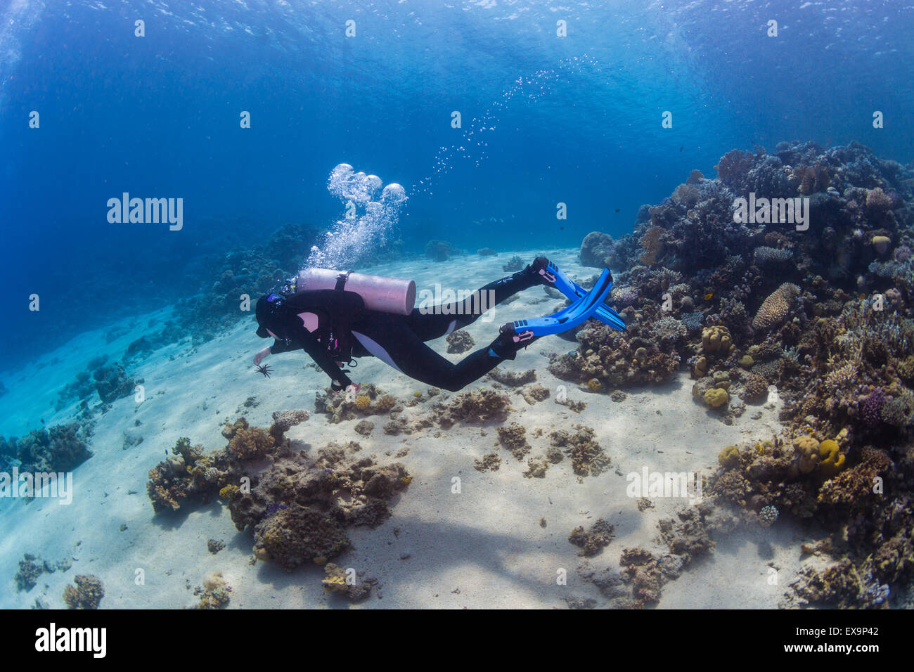 Reaf view hi-res stock photography and images - Alamy