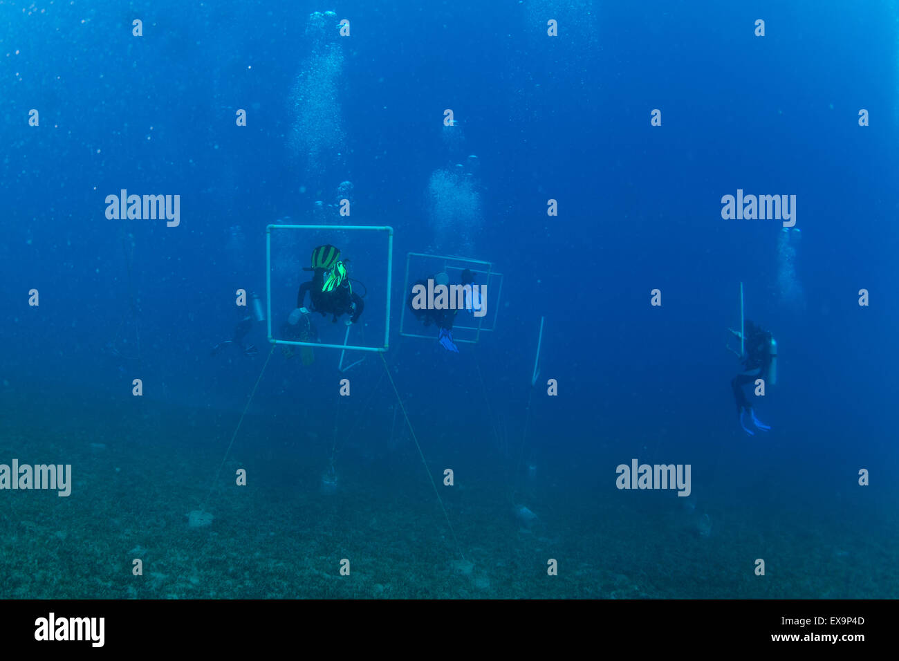 Reaf view hi-res stock photography and images - Alamy