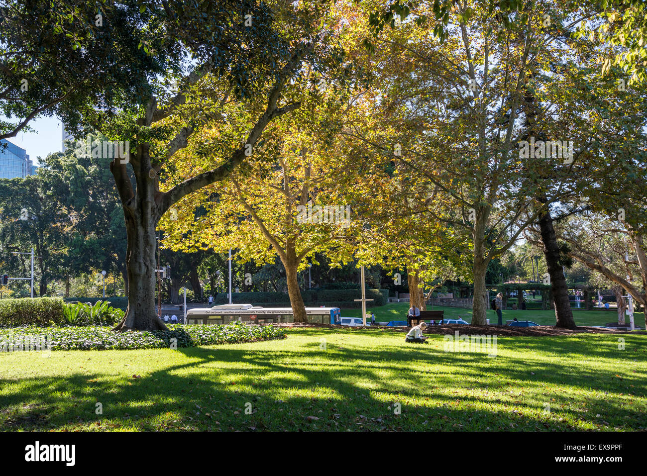 Hyde Park, Sydney, Australia Stock Photo - Alamy