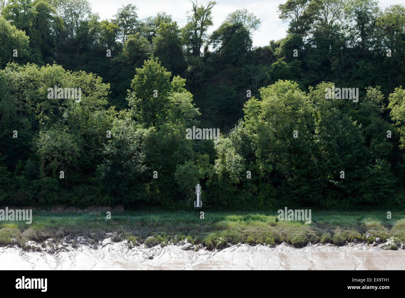 Low tide, mud flats reeds and woods on the River Avon at Sea Mills in ...