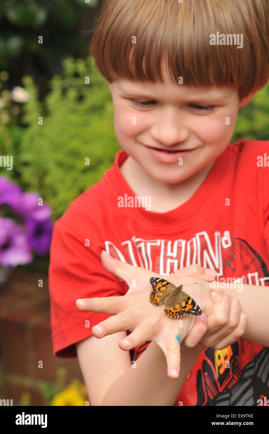 A boy with a painted lady butterfly Stock Photo - Alamy