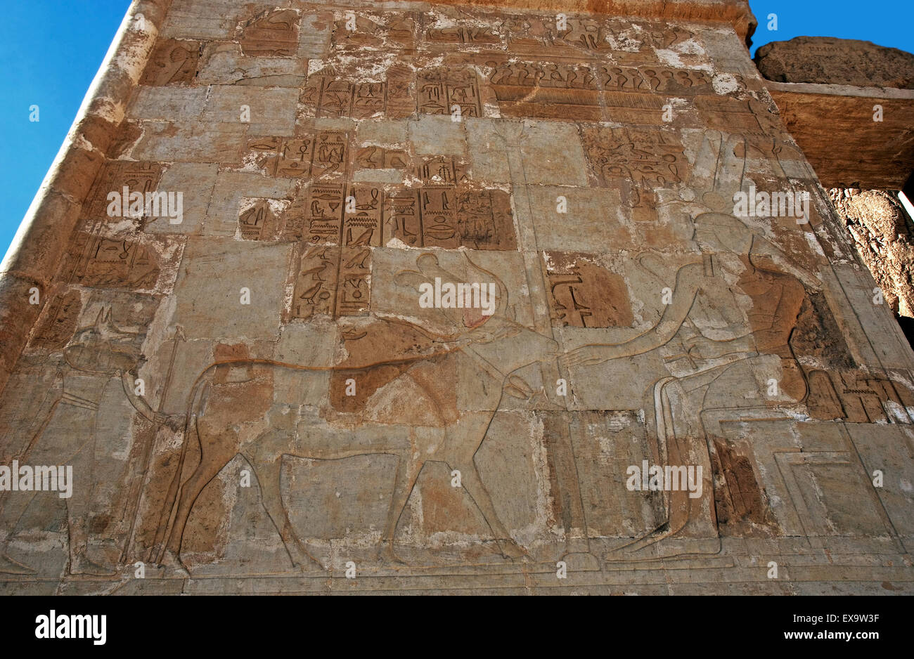 Hatshepsut punt hi-res stock photography and images - Alamy