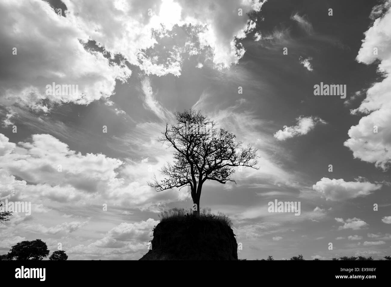 Kalahari desert botswana hi-res stock photography and images - Alamy