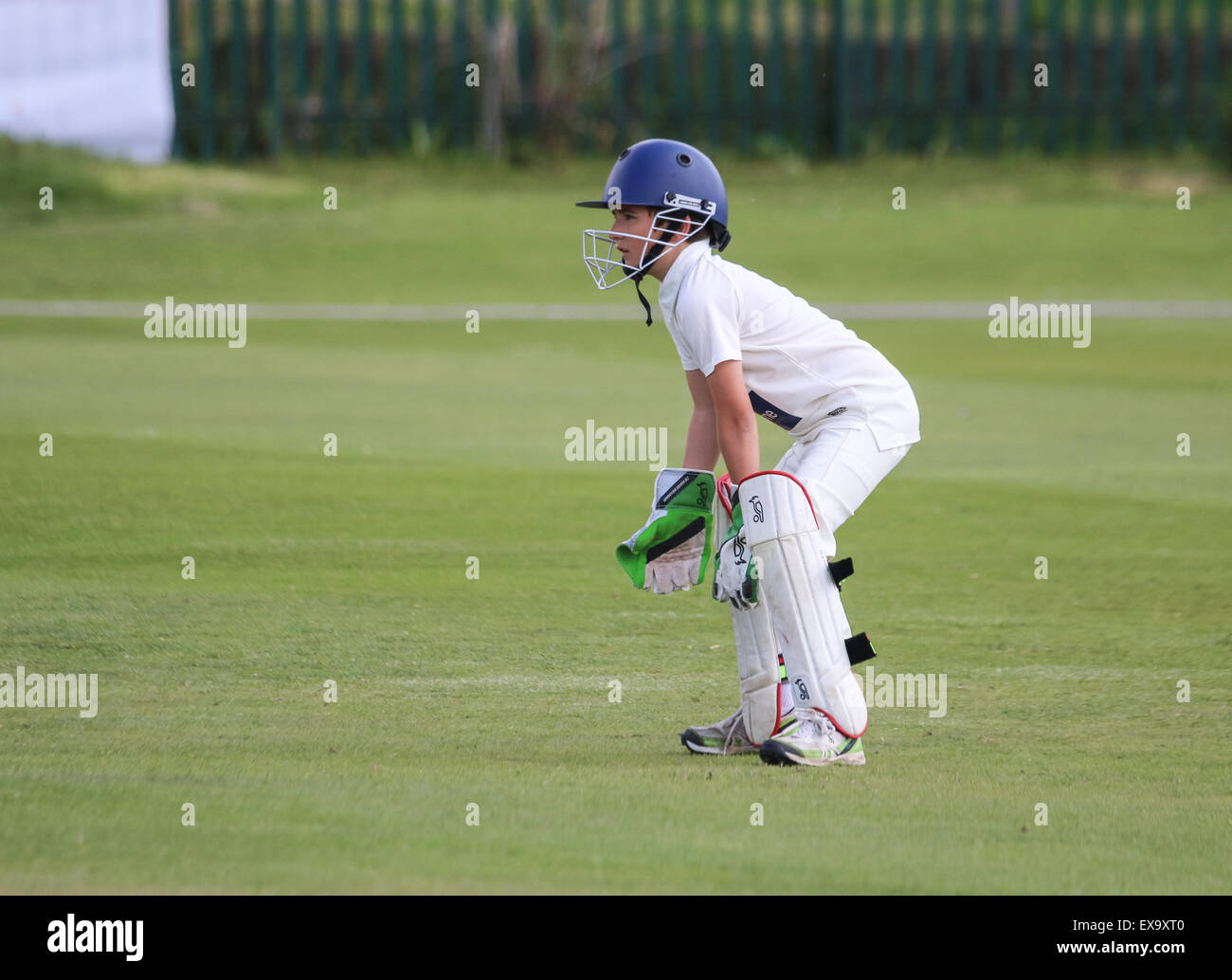Boy wicketkeeper waiting for the ball during a boys U13 school cricket ...