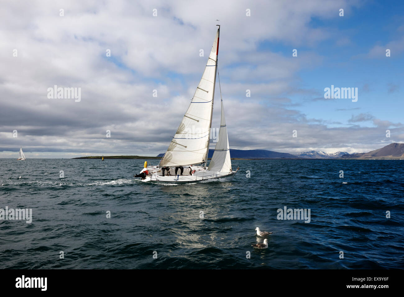yacht sailing over faxafloi faxa bay from reykjavik iceland Stock Photo ...