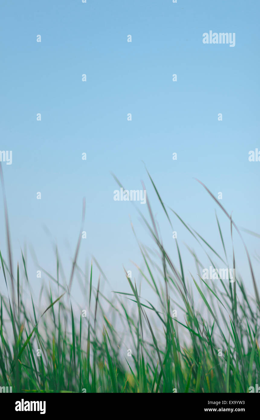 Calm blue background hi-res stock photography and images - Alamy