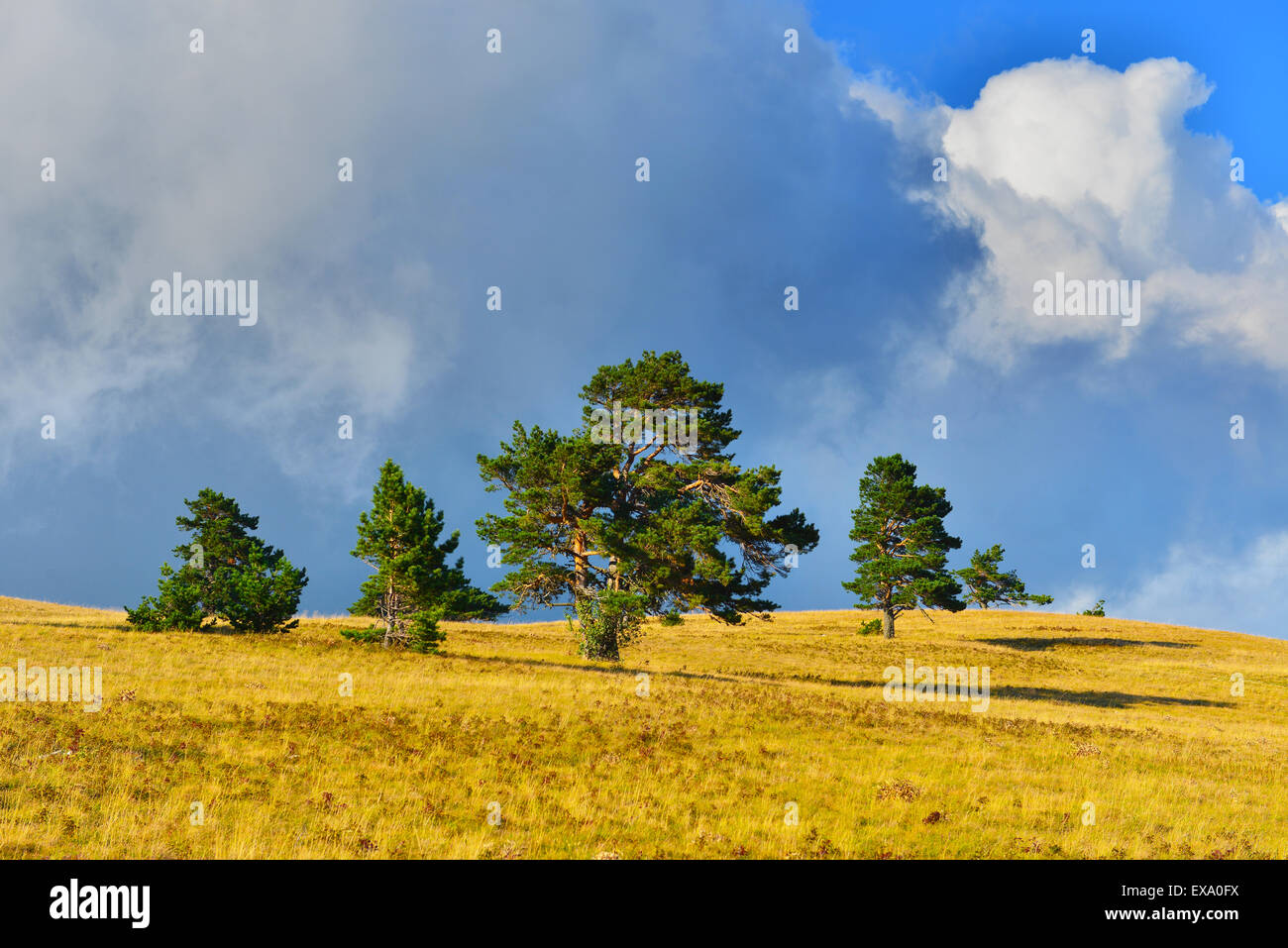 High life highland hi-res stock photography and images - Alamy