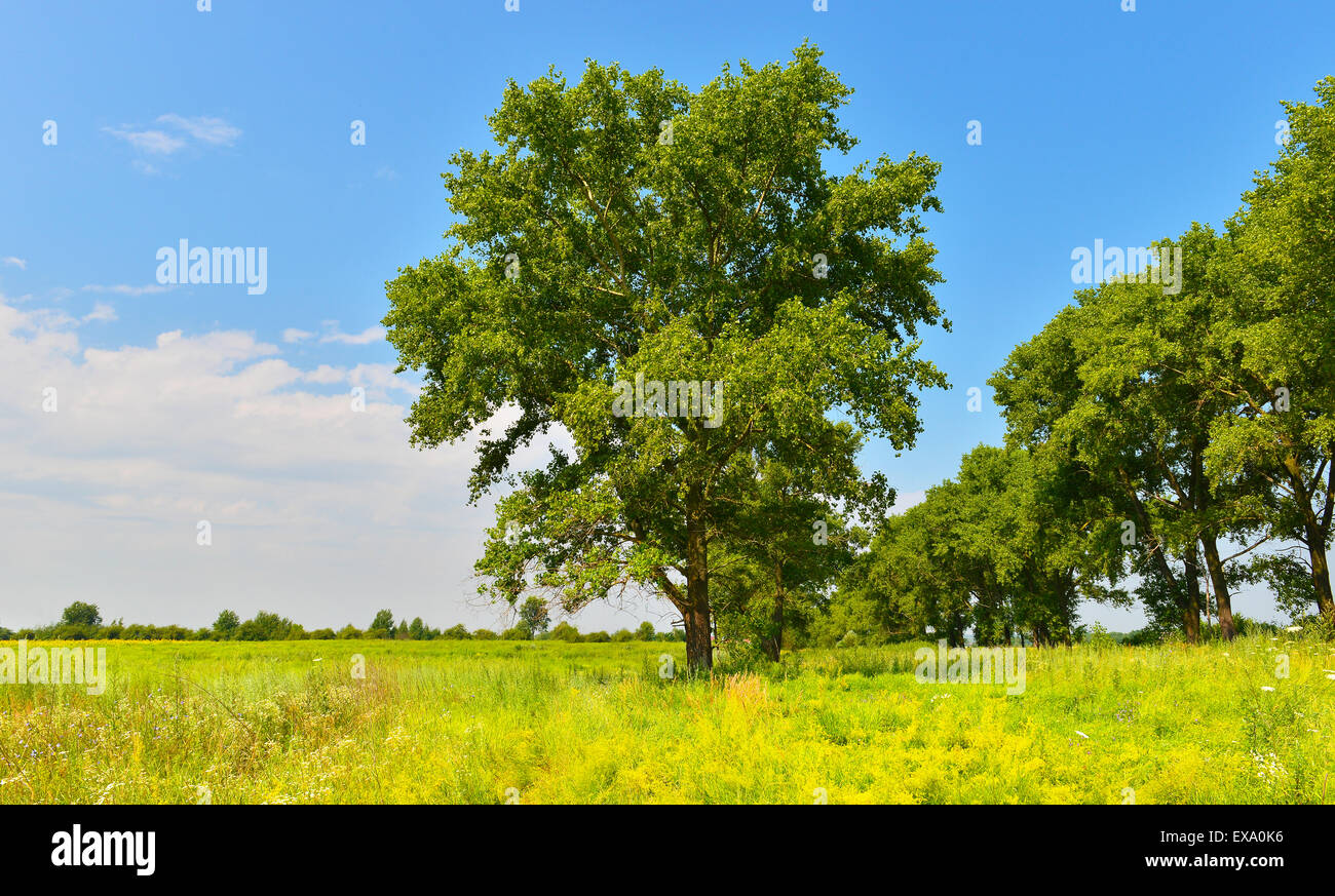 Nature weather sunny hi-res stock photography and images - Alamy