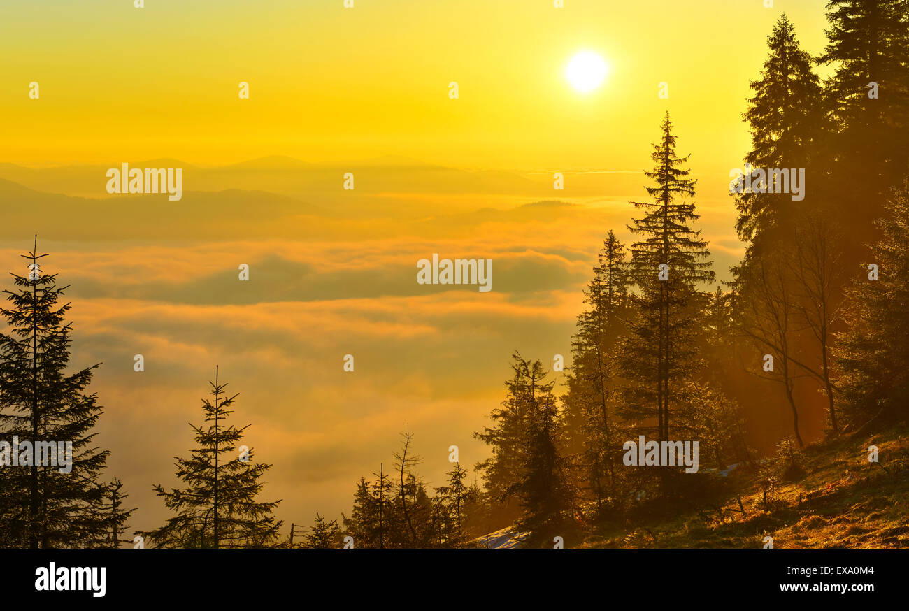 Sun above hi-res stock photography and images - Alamy