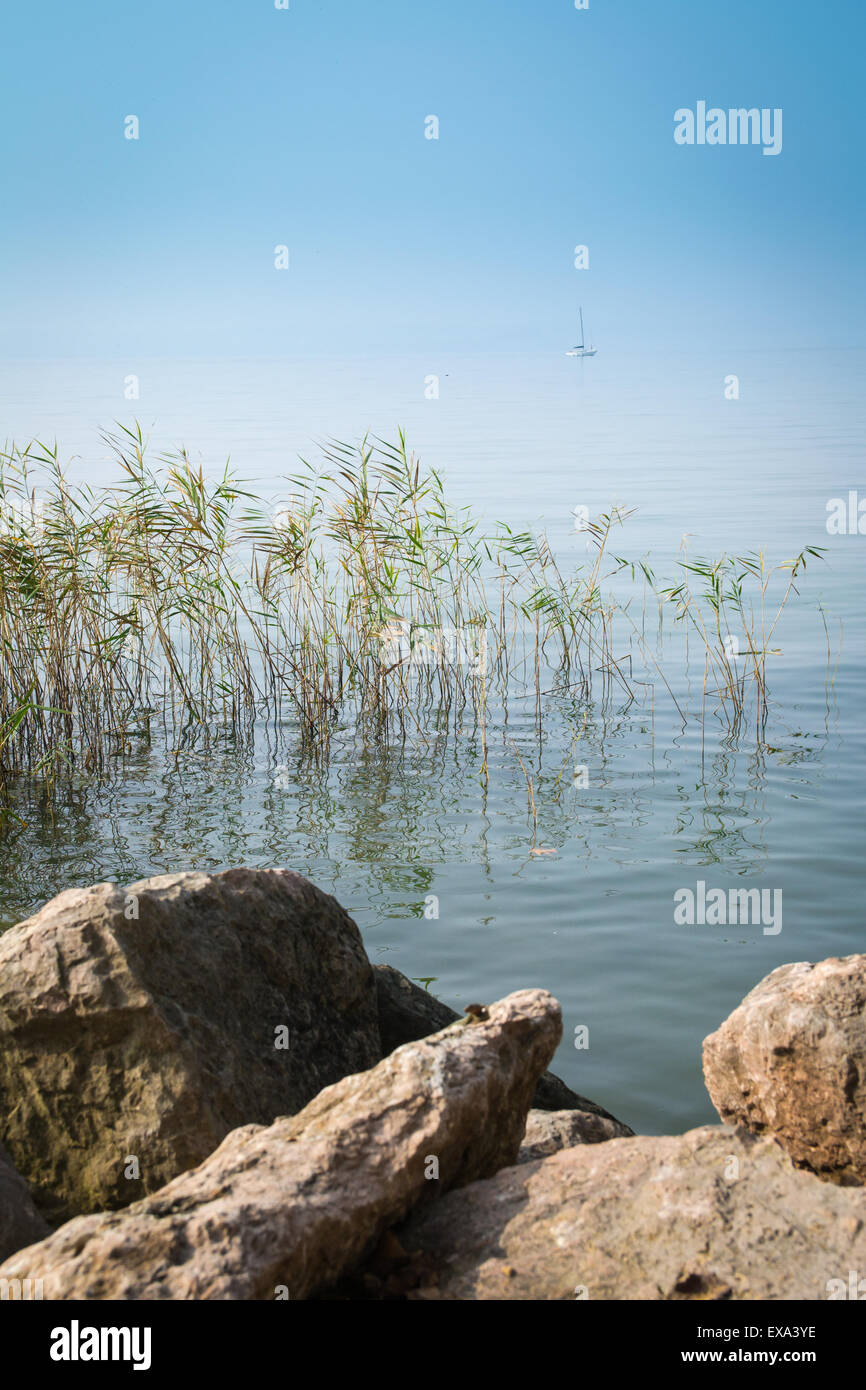 Side view outdoor hi-res stock photography and images - Alamy