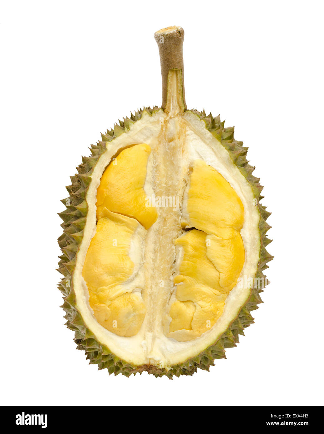 Close up of peeled durian isolated on white background Stock Photo - Alamy