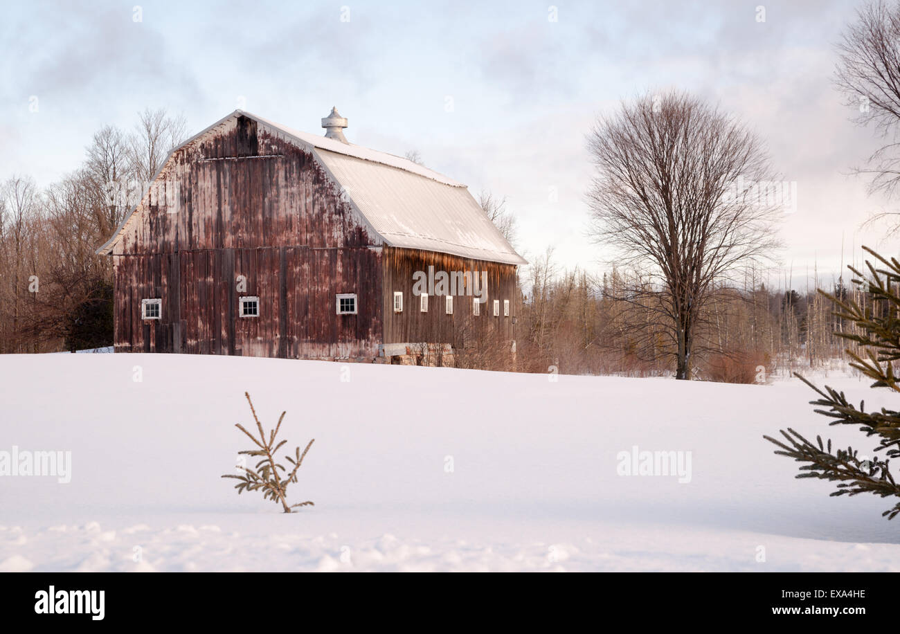 Fresh snow sits on the ground around an old barn Stock Photo - Alamy