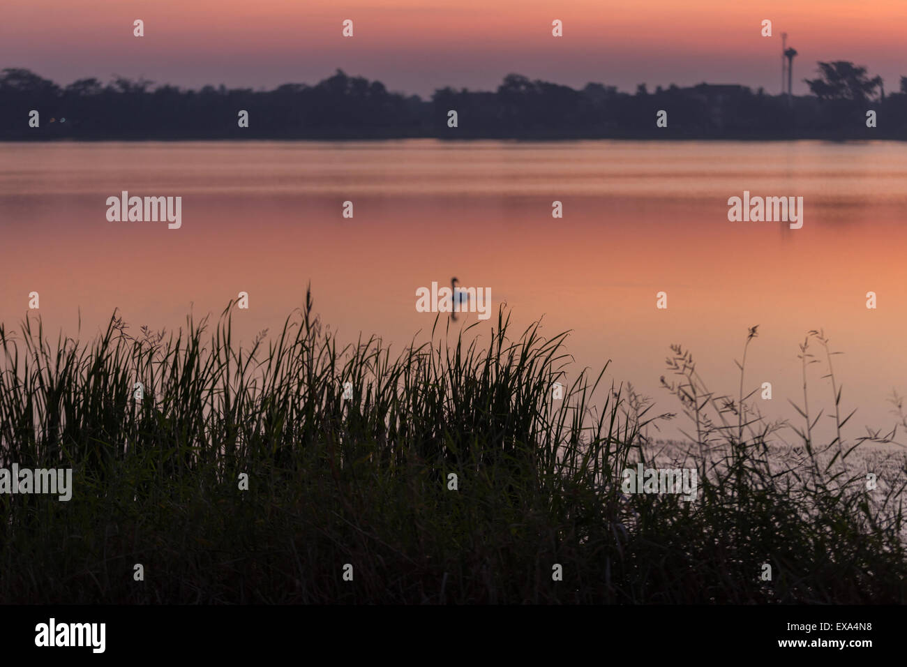 Morning sun rise on lake Stock Photo - Alamy