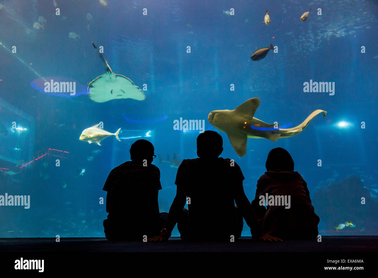 Asia, Singapore, Silhouette of tourists sitting in front of massive ...