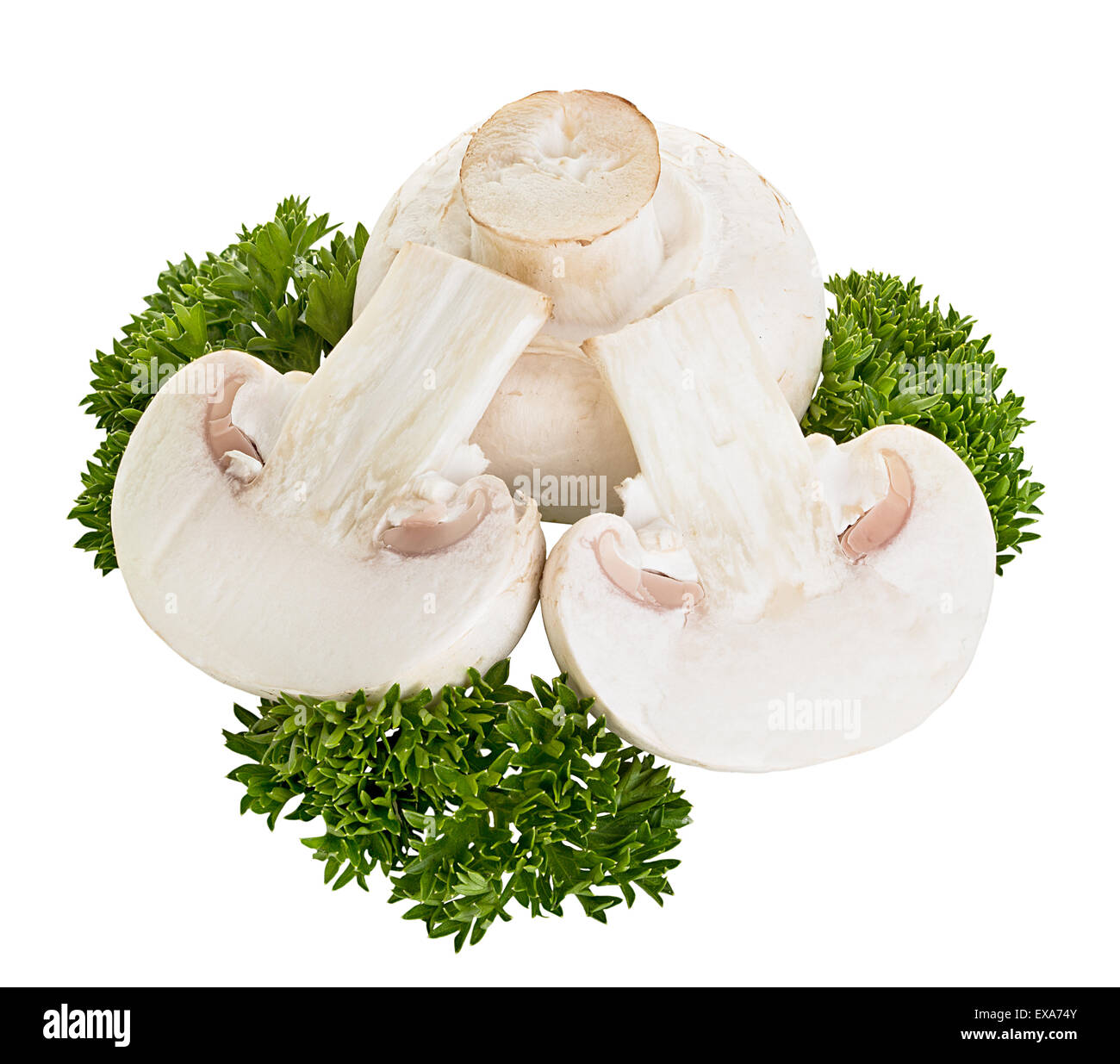 Champignon mushrooms isolated on white background Stock Photo - Alamy