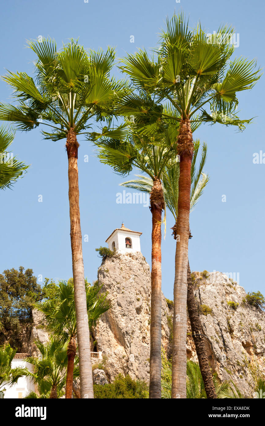 Belfry behind Palm Trees, Alicante, Spain Stock Photo - Alamy