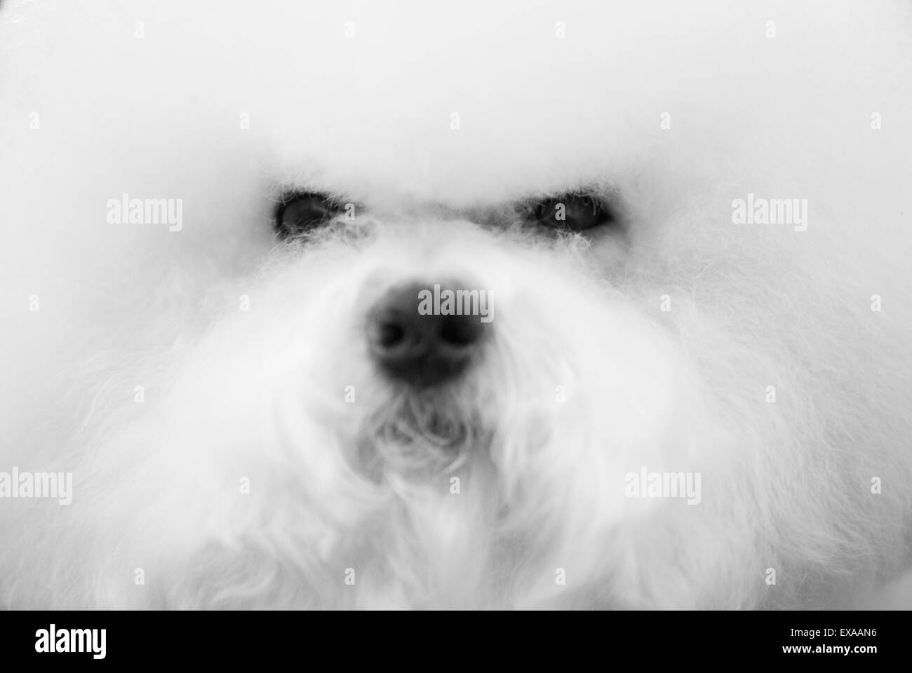 Takes part in Black and White Stock Photos & Images - Alamy
