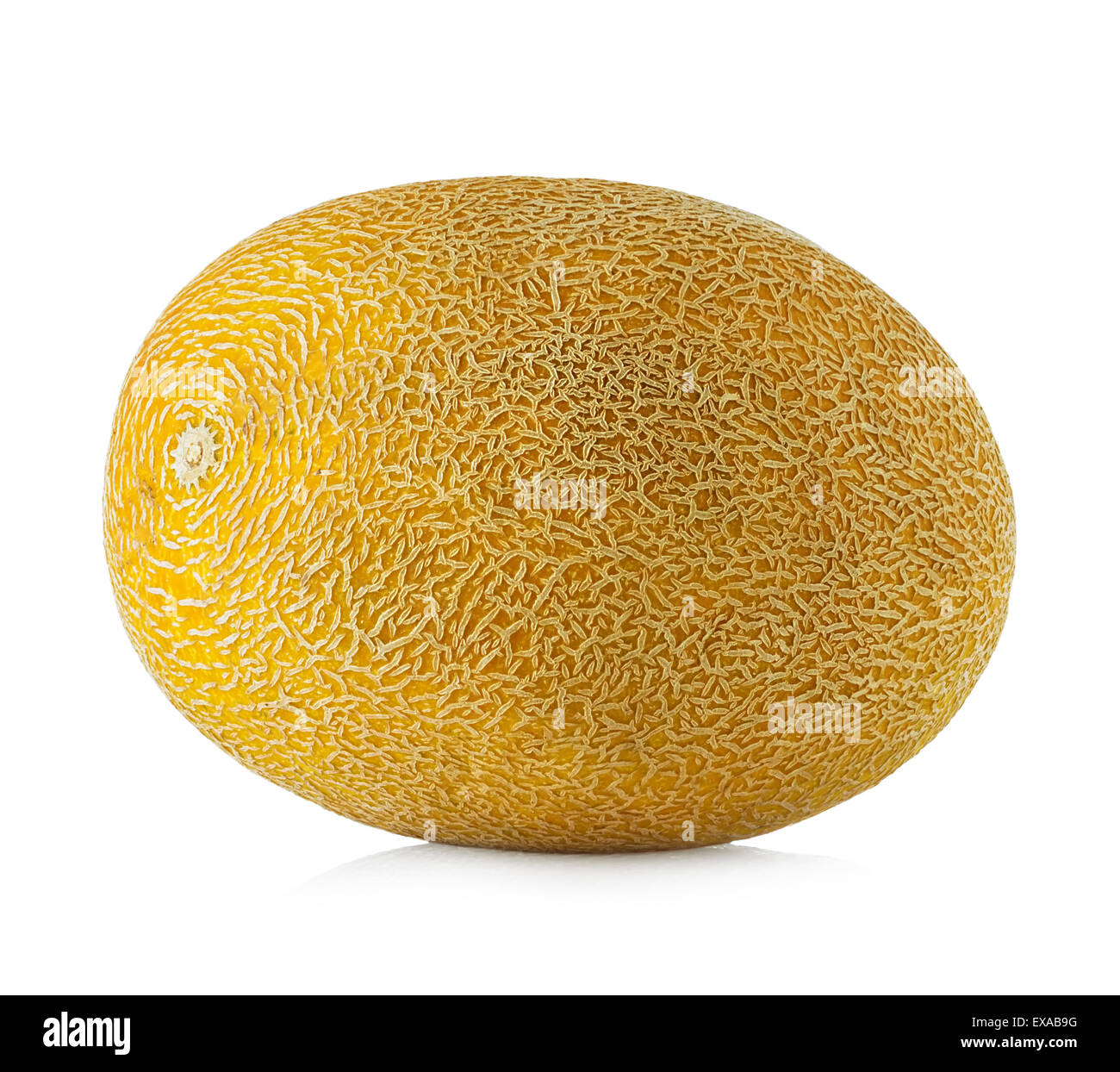 Melon isolated on white background Stock Photo - Alamy