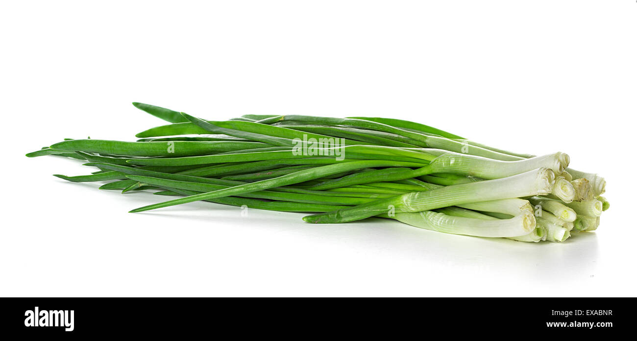 Green Onion on white background Stock Photo - Alamy