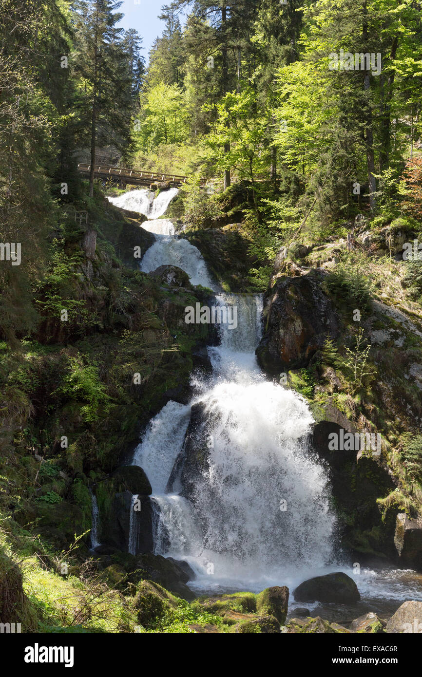 DEU, Deutschland, Baden-Württemberg, Schwarzwald, Triberg, 11.05.2015 ...