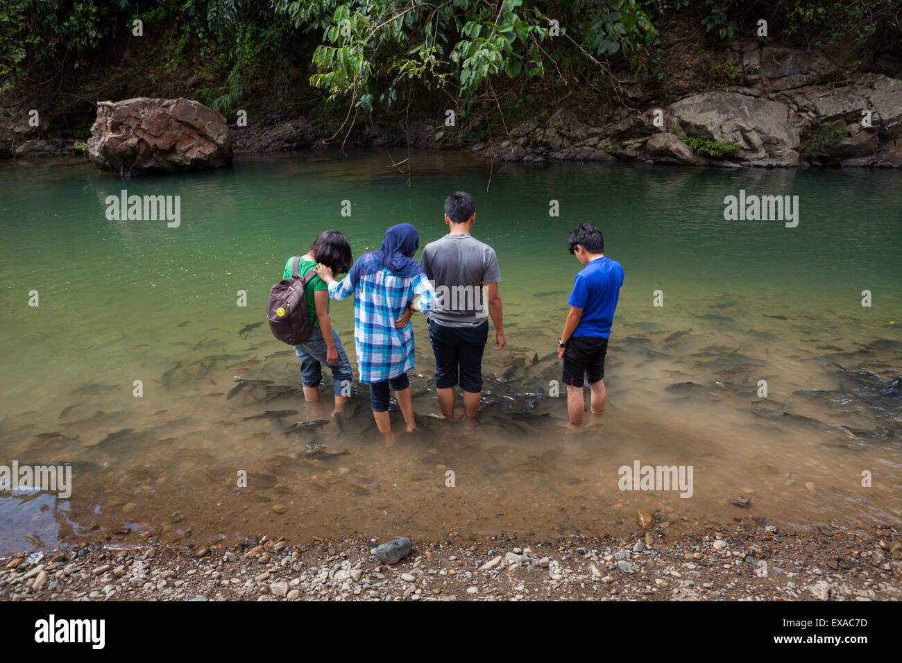 Visitors enjoying fish massage at a fish massage service station in ...