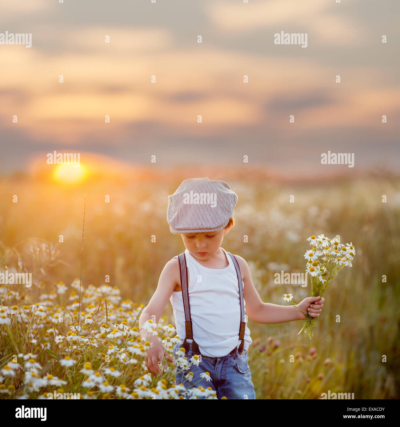 Boy with daisy hi-res stock photography and images - Alamy