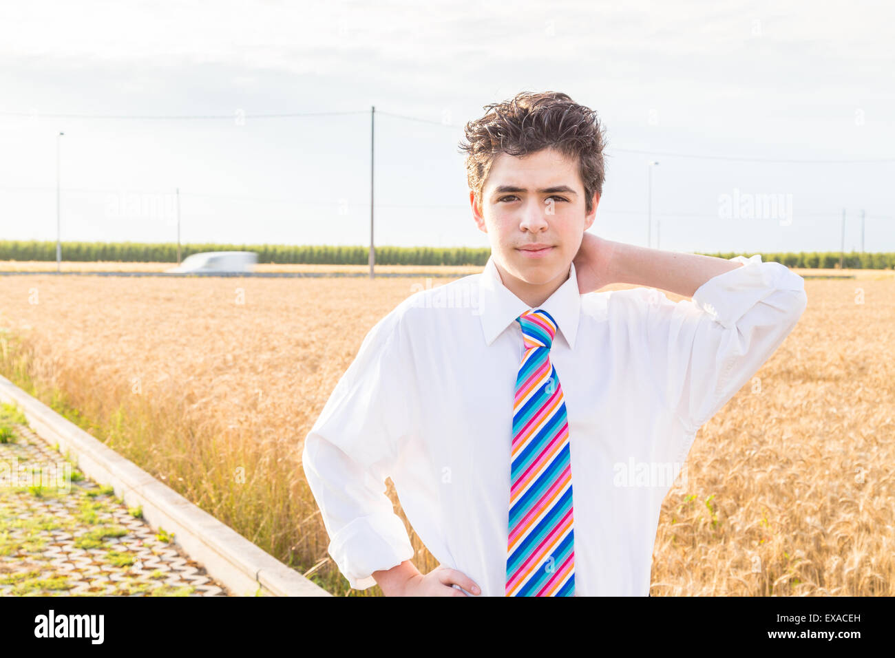 Handsome Caucasian boy wearing a white shirt and a regimental tie with ...