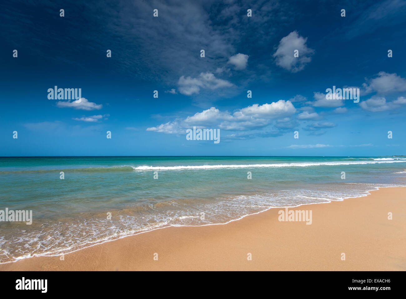 Beautiful brown beach landscape Stock Photo - Alamy