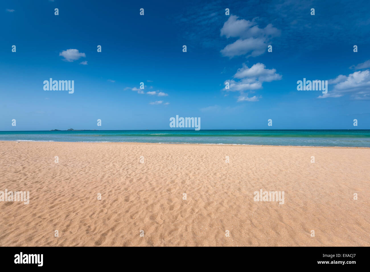Beautiful brown beach landscape Stock Photo - Alamy