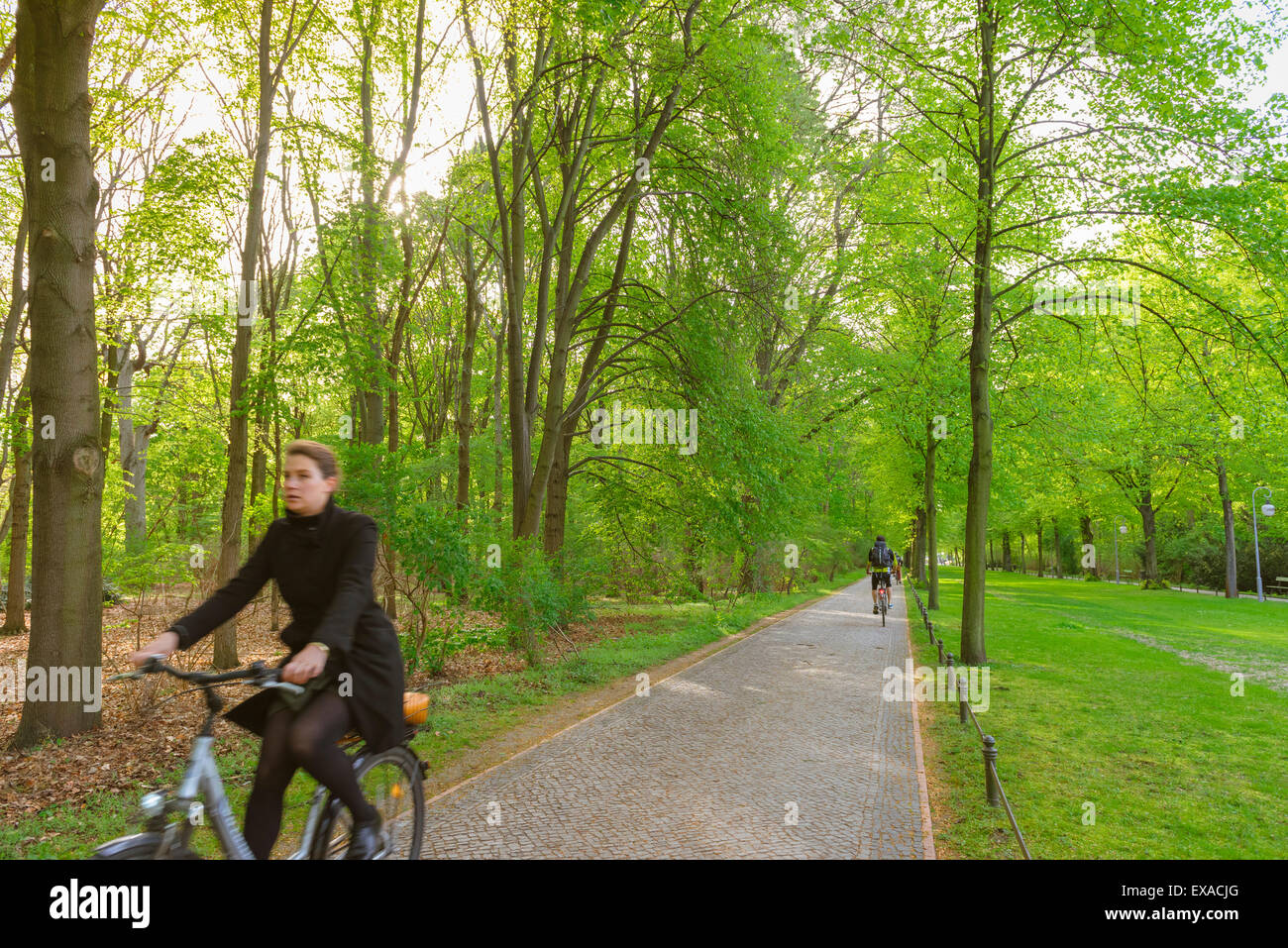 Berlin Park View Of Cyclists Using The Extensive Cycle Paths In The berlin-park-view-of-cyclists-using-the-extensive-cycle-paths-in-the